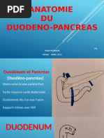 Duodénum | PDF | Pancréas | Anatomie