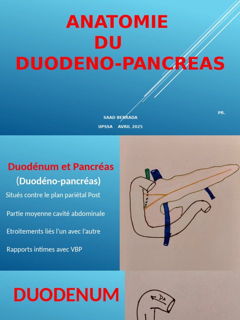 Anatomie du Duodénum et Pancréas | PDF | Pancréas | Anatomie