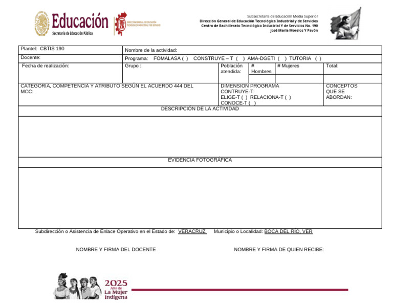 Formatos Programas Institucionales | PDF