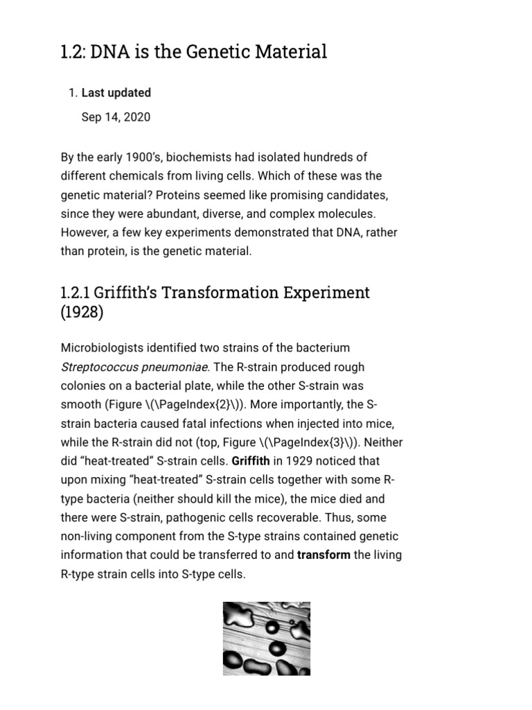 1.2_ DNA is the Genetic Material - Biology LibreTexts | PDF | Health ...