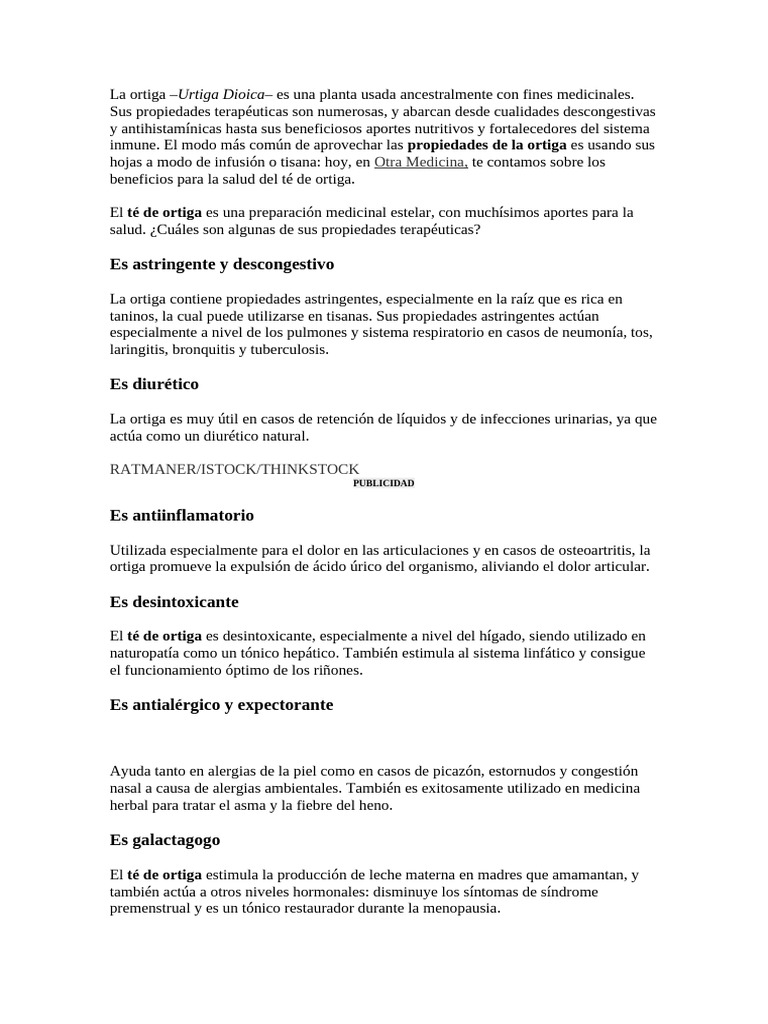 Beneficios del té de ortiga para la salud | PDF | Té | Nutrición