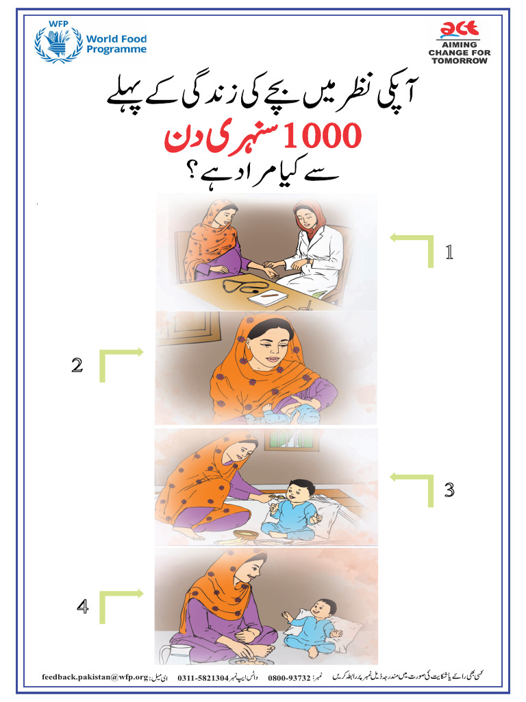 Nutrition Cards | PDF
