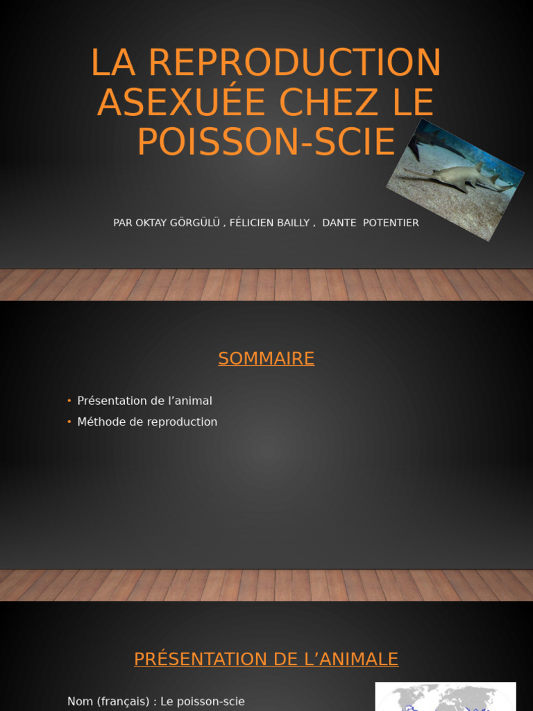 La reproduction asexuée chez le poisson-scie | PDF