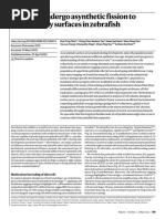 Mitosis Mover: Interactive Biology Game | PDF | Mitosis | Cell (Biology)