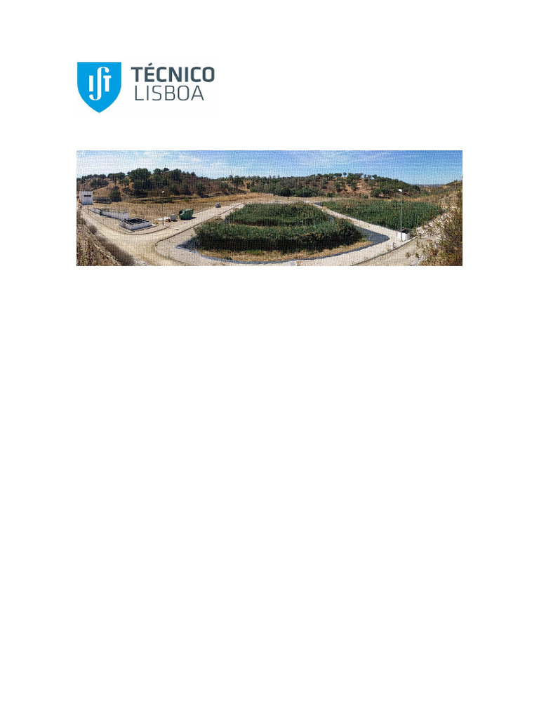 Avaliacao da colmatacao em leitos de macrofitas Vfinalposap | PDF ...