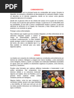 Importancia de los CHONPS en la vida | PDF | Alimentos | Nutrientes