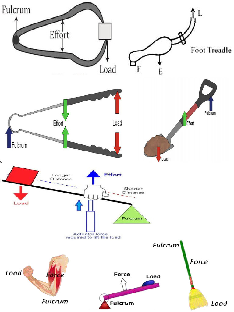 Class 3 Lever | PDF