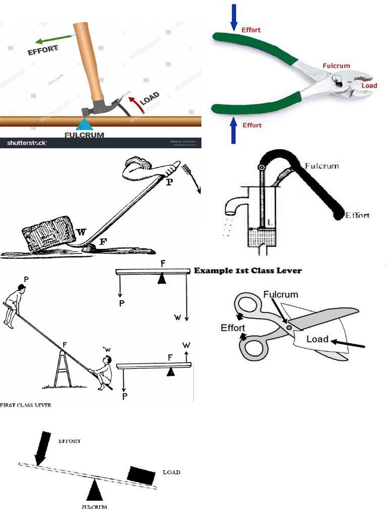Class 1 Lever | PDF