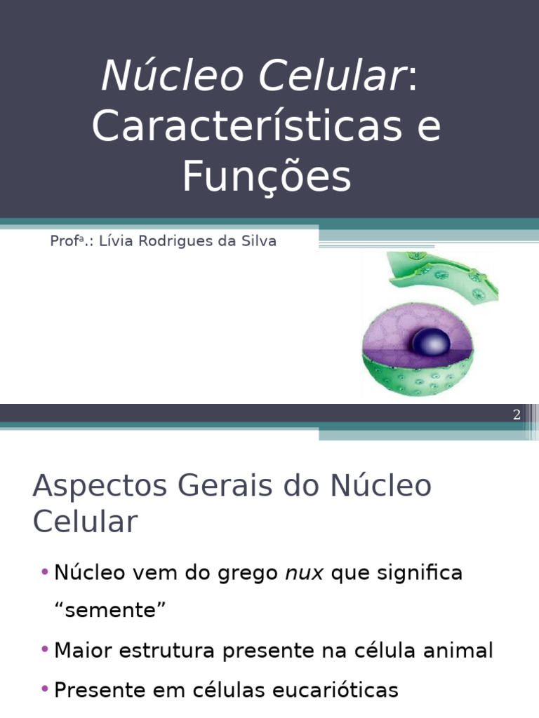 Núcleo Celular e Seus Componentes | PDF | Núcleo celular | Cromossomo