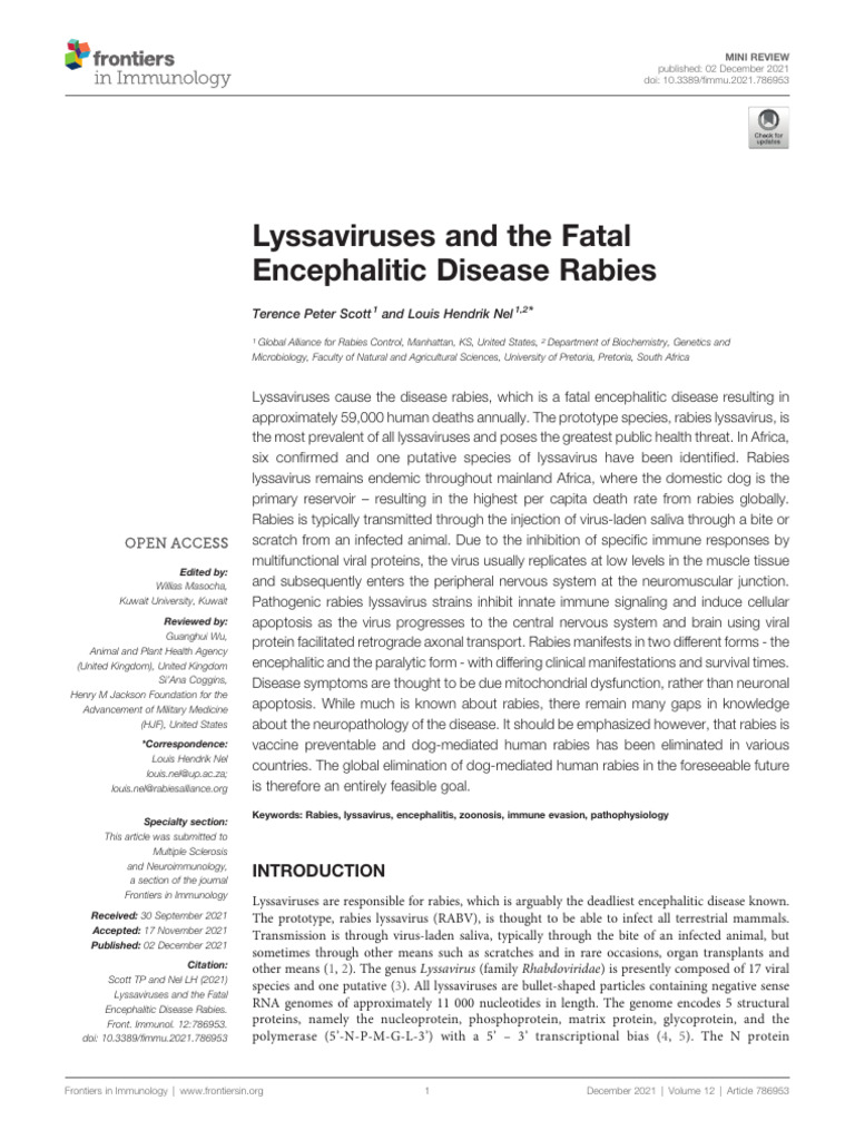 Lyssaviruses and The Fatal Encephalitic Disease Rabies | PDF | Rabies ...