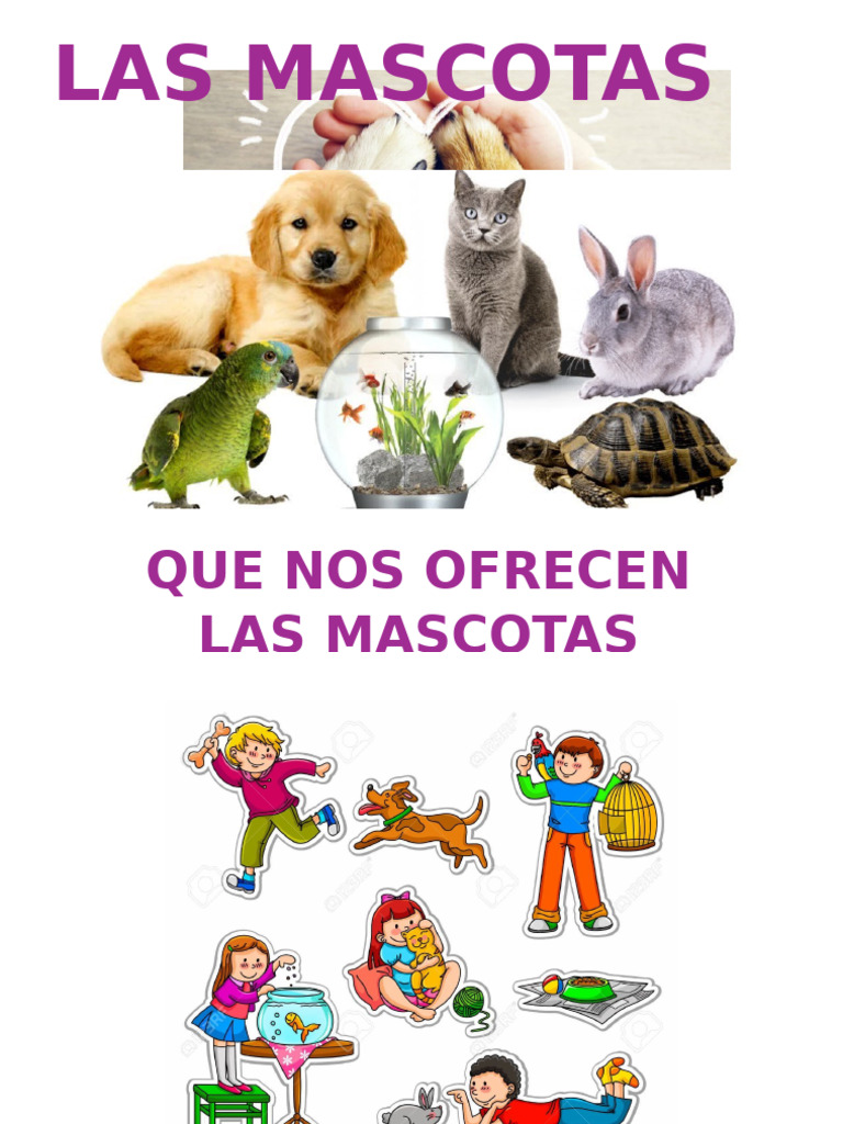 Mascot As | PDF