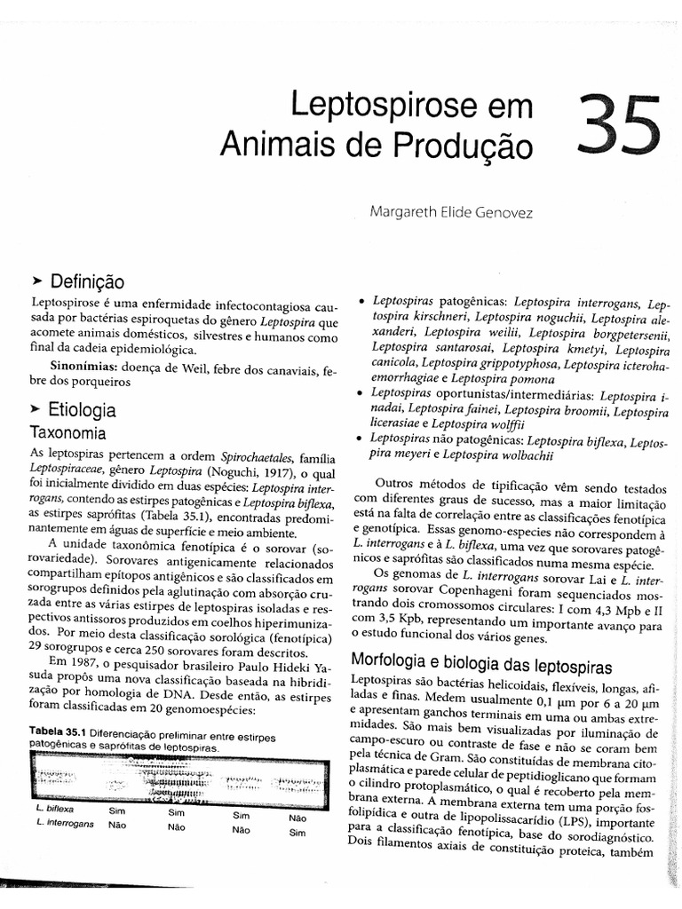 Apostila Leptospirose | PDF