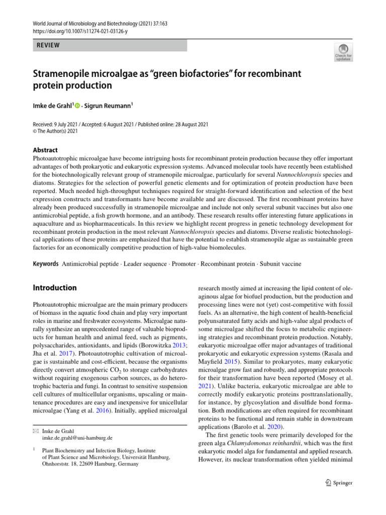 Stramenopile Microalgae As (Green Biofactories) For Recombinant Protein ...