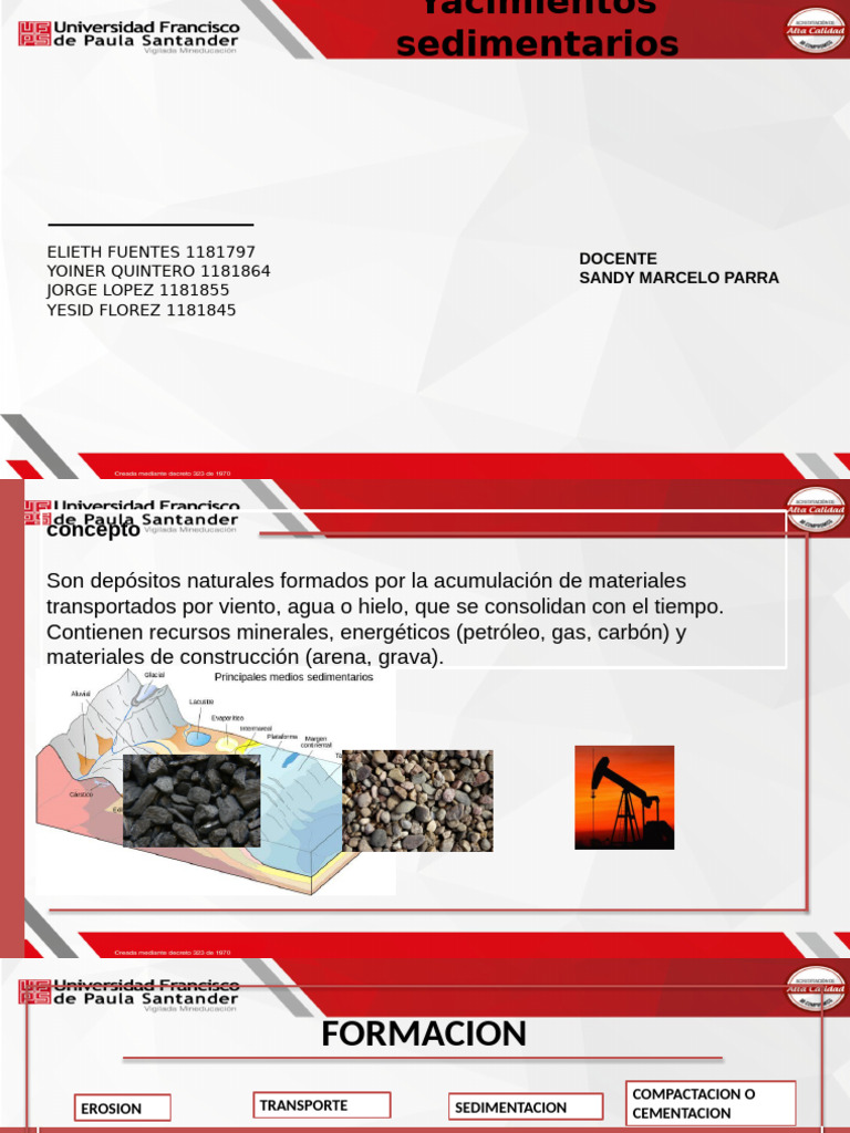 Yacimientos Sedimentarios. ELECTIVA | PDF | Depósito de petróleo | Roca sedimentaria