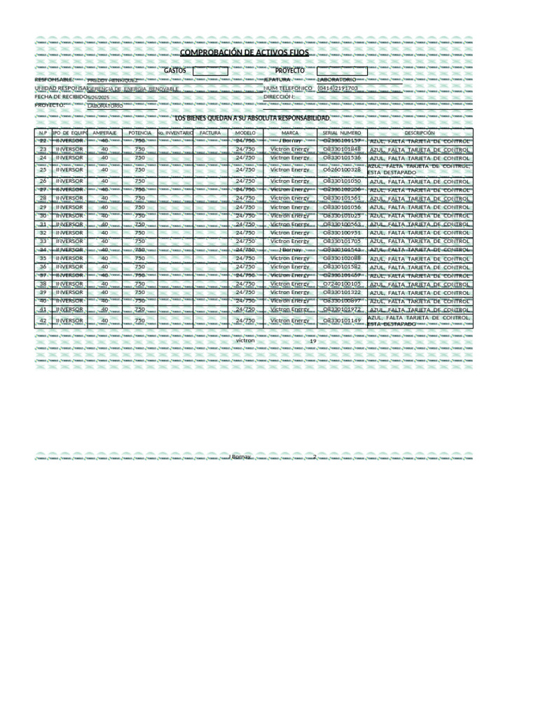 F2 Formato Control Interno Activos Fijos | PDF