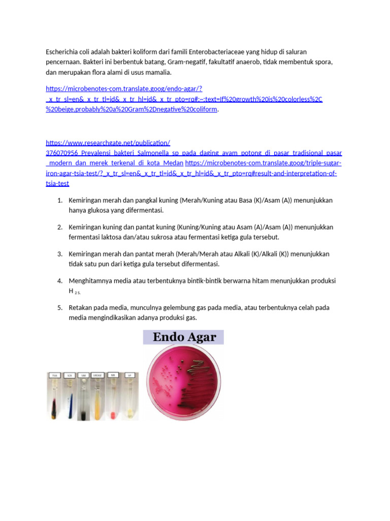Escherichia Coli Adalah Bakteri Koliform Dari Famili Enterobacteriaceae ...