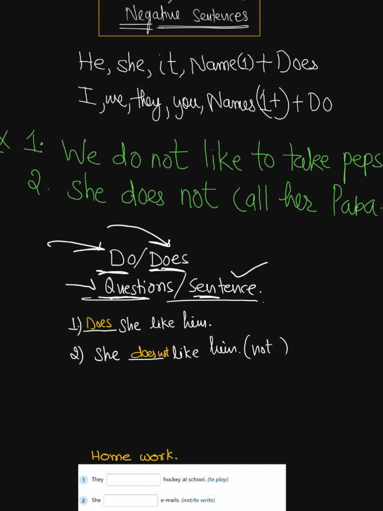 Do Does Practice | PDF