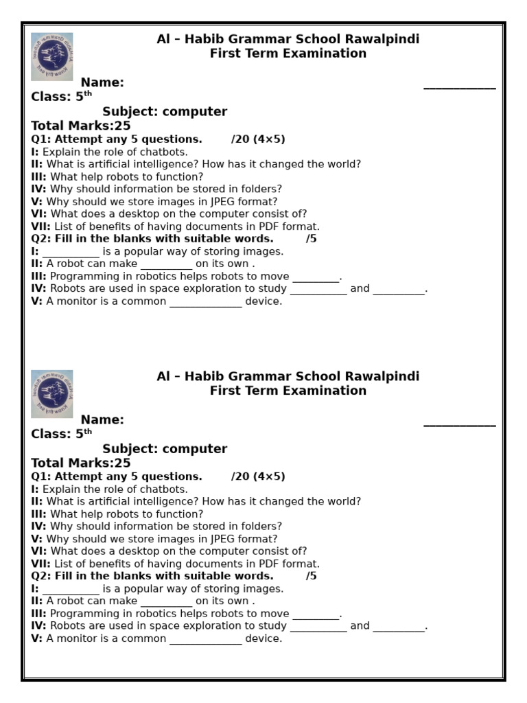 Class 5 Computer Paper | PDF