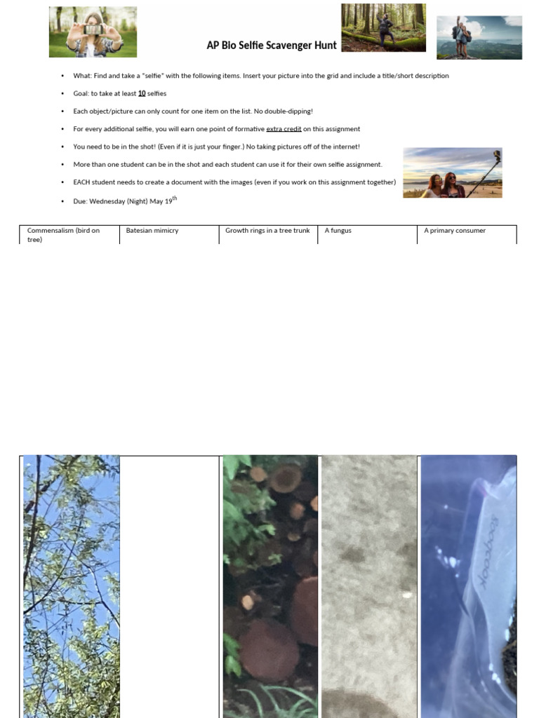 AP Bio Selfie Assignment | PDF