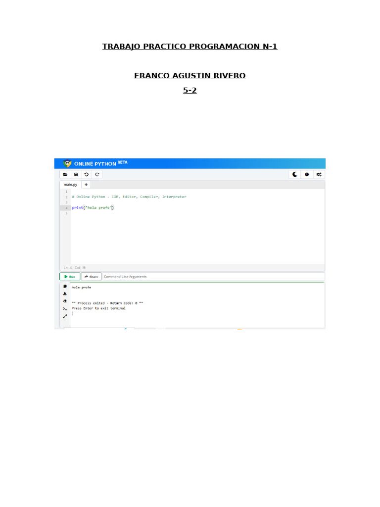 Trabajo Practico Programacion N-1 | PDF