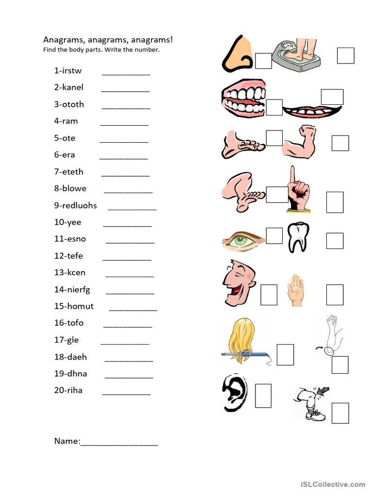 Parts of the body anagrams (1) | PDF