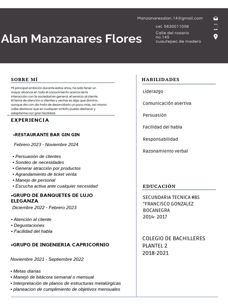 CV Alan MF N | PDF