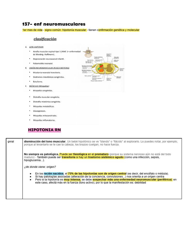 T37-Enf Neuromusculares: Clasificación | PDF | Unión neuromuscular | Enfermedades y trastornos