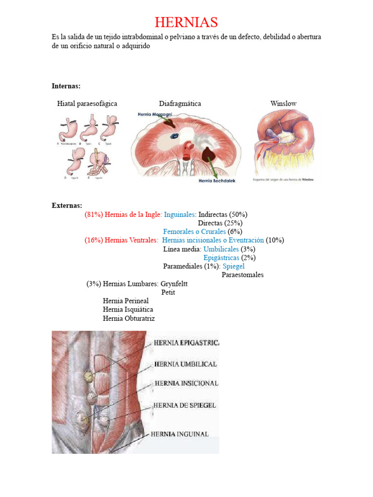 HERNIAS | PDF | Abdomen | Cirugía