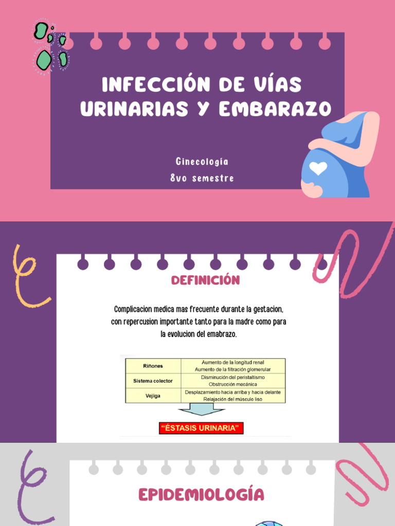 IVU en el Embarazo: Tratamiento y Riesgos | PDF | Infección del tracto ...
