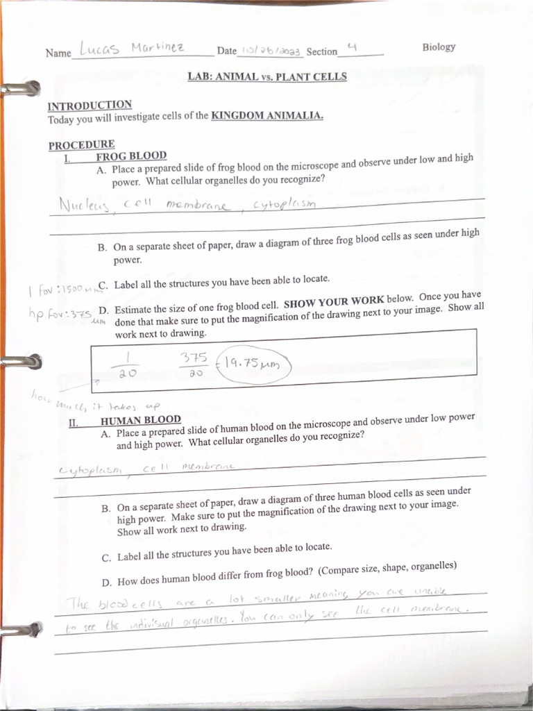 Animal Cell Lab (Oct 26, 2023 at 10:47 PM) | PDF