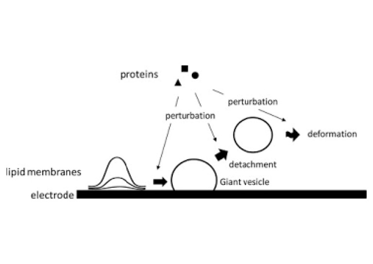 Giant Method 5 | PDF