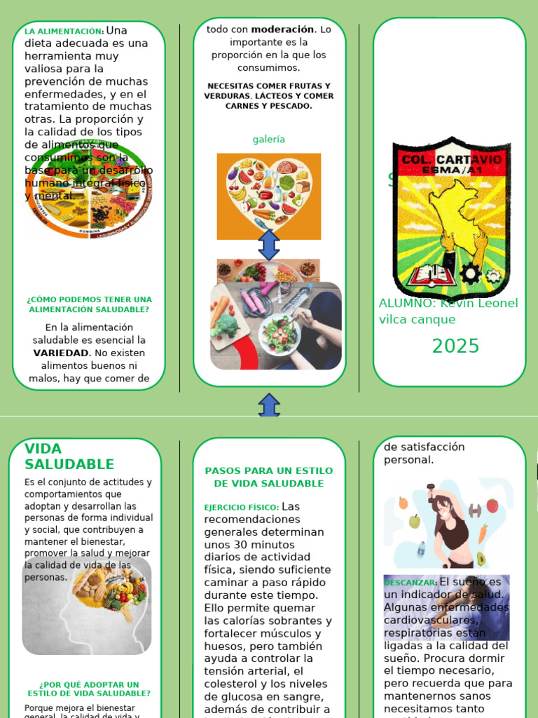 Tríptico sobre Alimentación Saludable Infantil | PDF | Alimentos