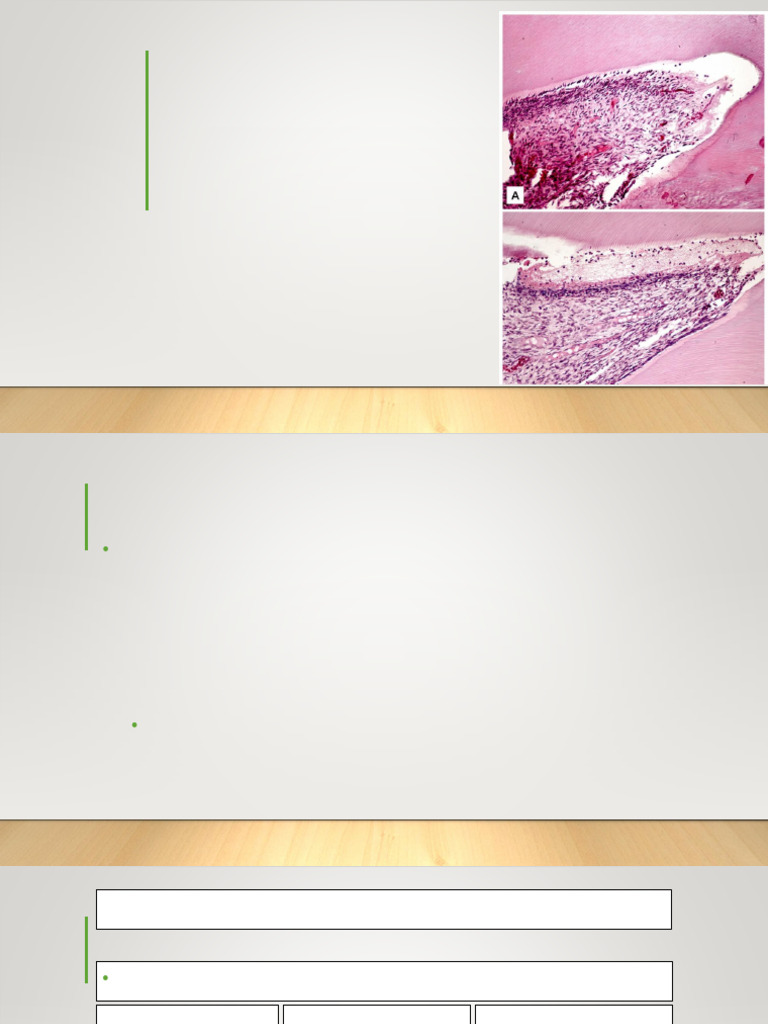 Pulp and Periapical Tissue Diseases | PDF | Inflammation | Anatomy