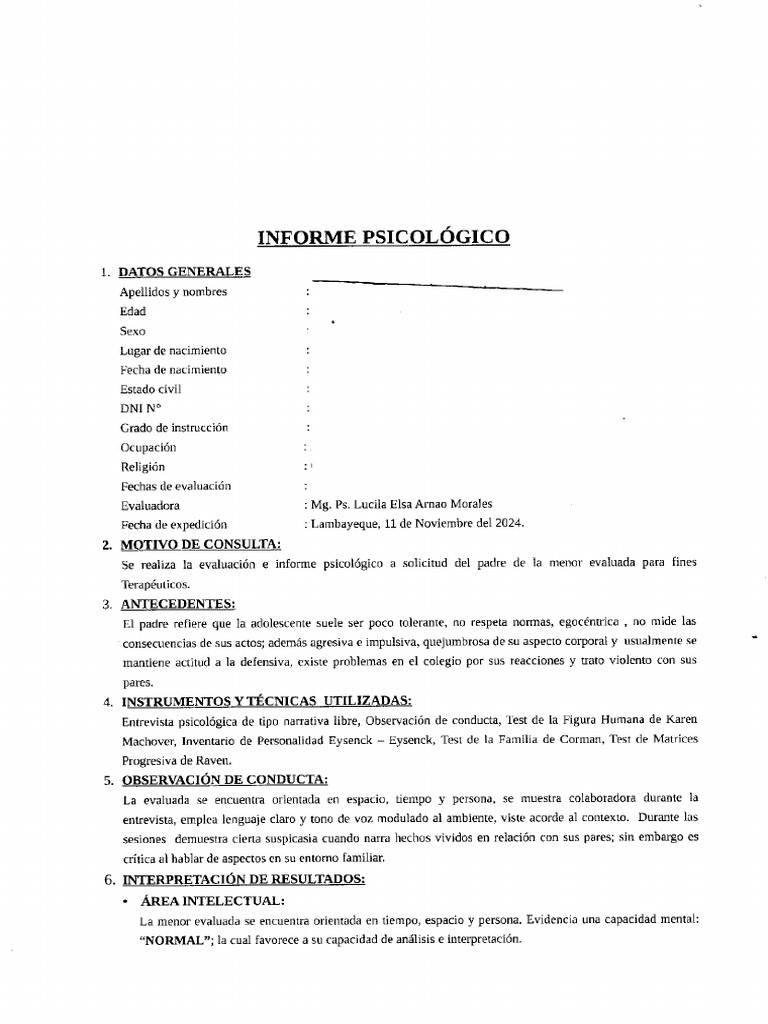 Modelo 20241111 | PDF