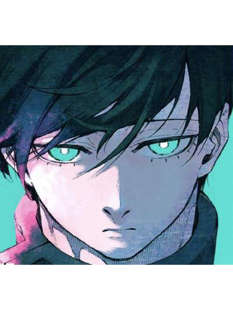 My Favorite Character - Rin Itoshi | PDF