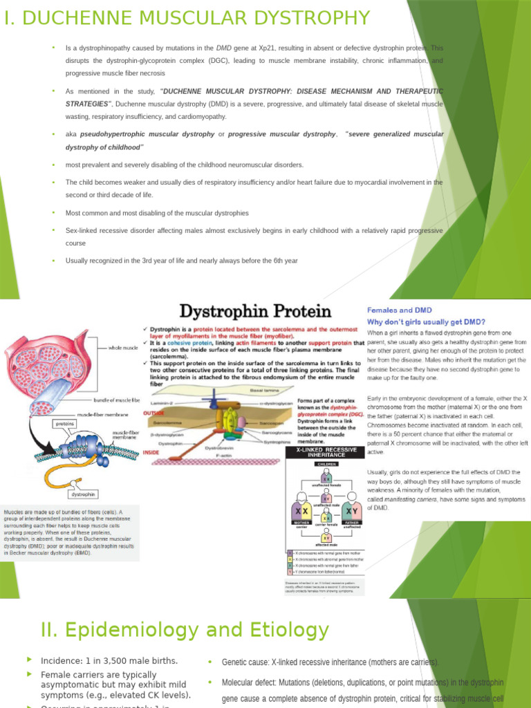 Duchenne Muscular Dystrophy (Autosaved) | PDF | Muscular Dystrophy ...