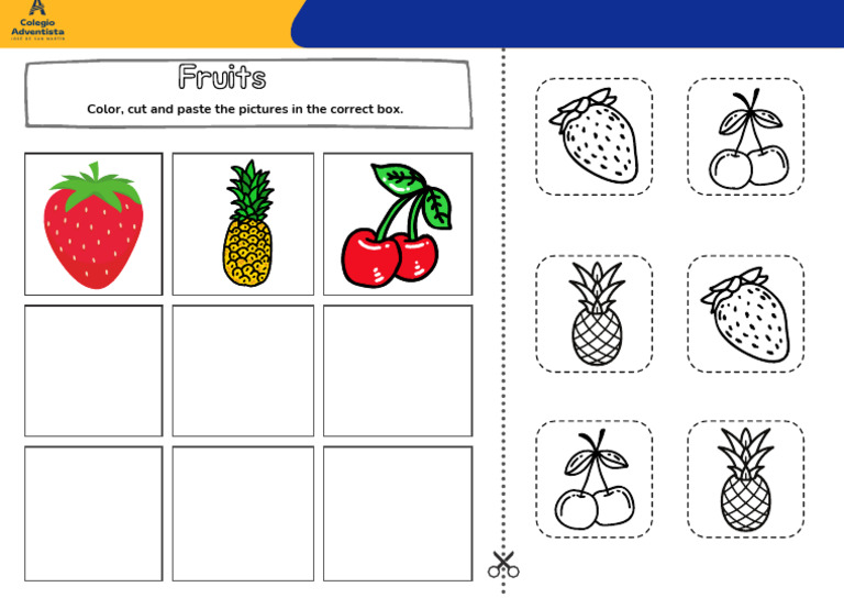 Black Sorting Fruits Worksheet | PDF