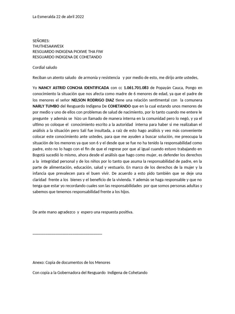 Documento Nancy Concha | PDF