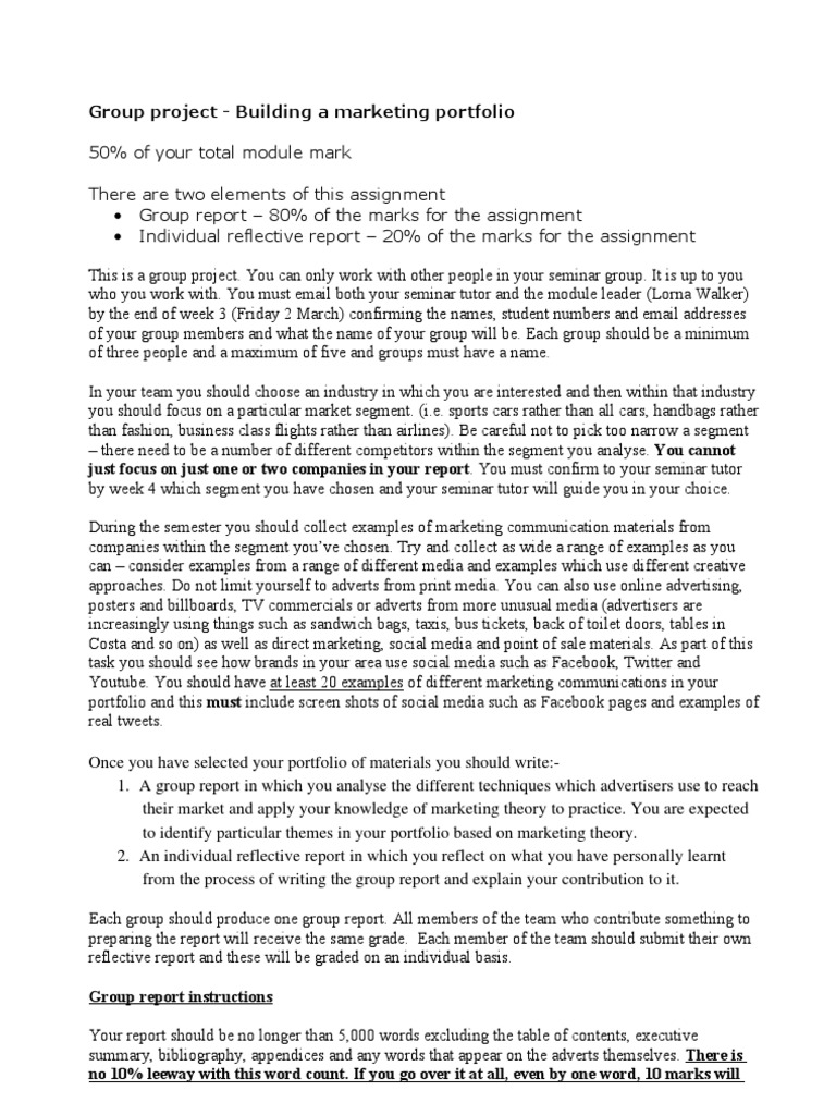 MKT201 Group Course Work Brief S12 | PDF | Consumer Behaviour ...