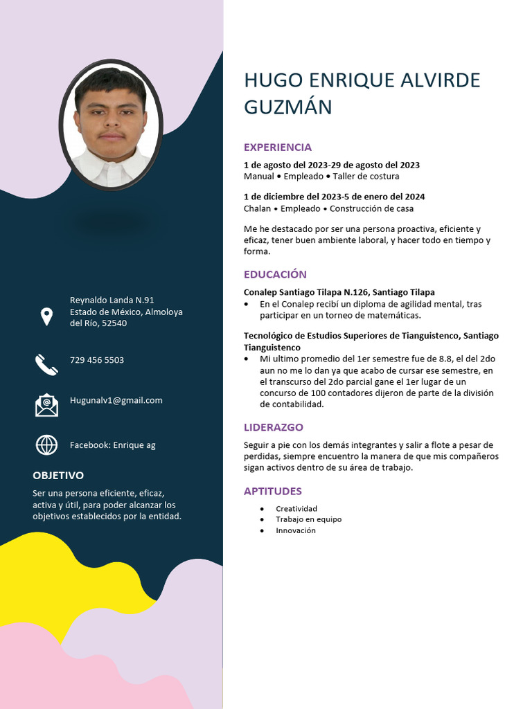 Perfil Profesional de Hugo Alvirde | PDF