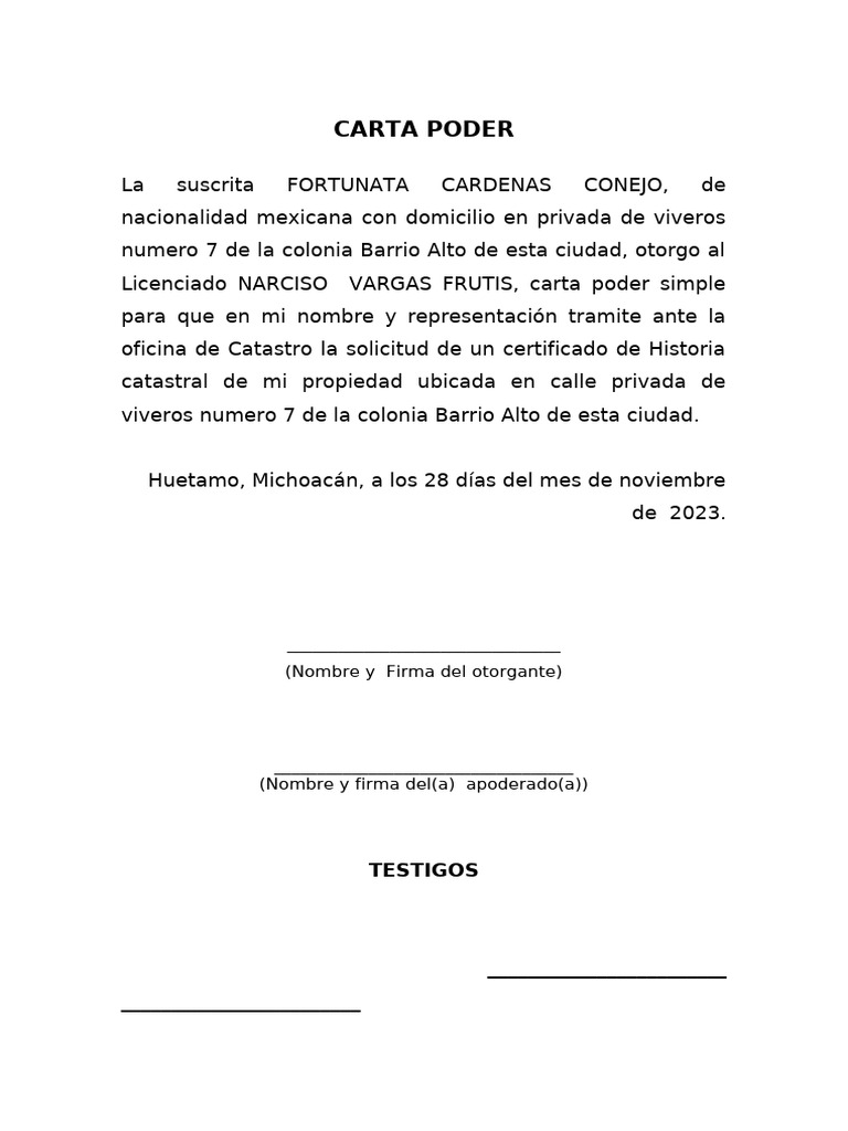 Modelo Carta Poder | PDF