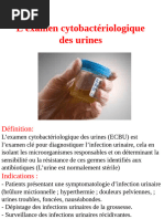 Examen de coproculture des selles | PDF | Salmonelle | Bactérie