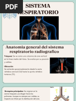 Protocolo Blue | PDF | Enfermedades y trastornos | Neumología
