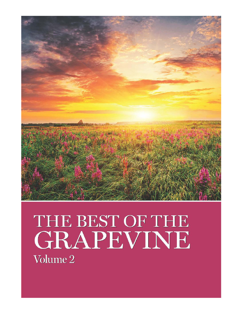 Lo Mejor Del Grapevine Vol 2 | PDF