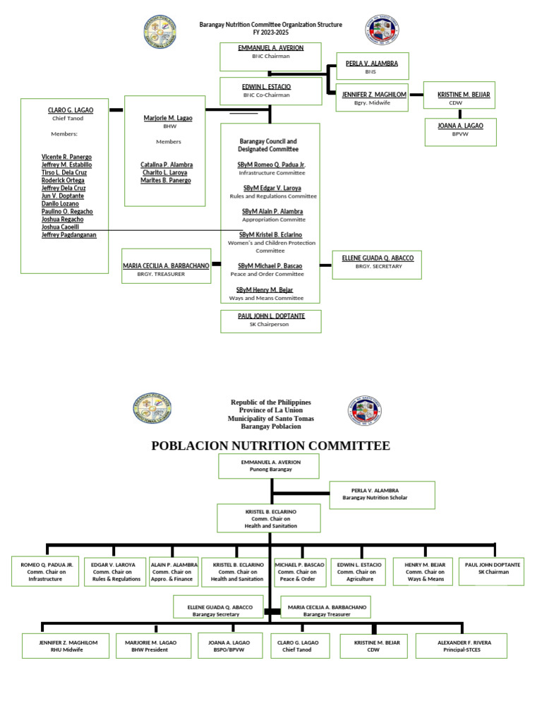 Barangay Nutrition Committee Organization Structure 2025 | PDF