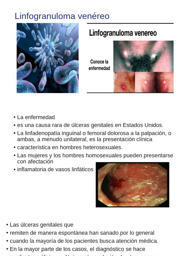 Linfogranuloma Venereo | PDF | Microbiología | Enfermedades y trastornos