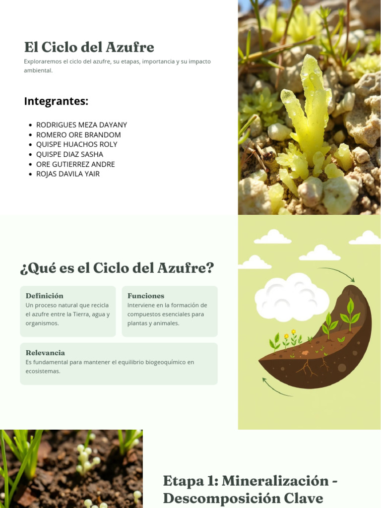 El Ciclo Del Azufre PDF | PDF | Suelo | Azufre