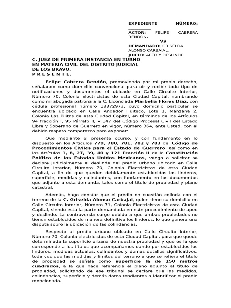 Expediente Apeo y Deslinde | PDF | Demanda judicial | Judicaturas
