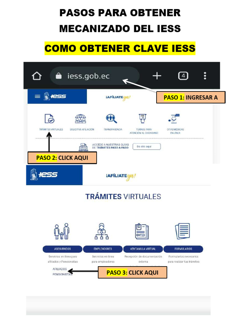 Pasos para Obtener Mecanizado o Historia Laboral Iess | PDF