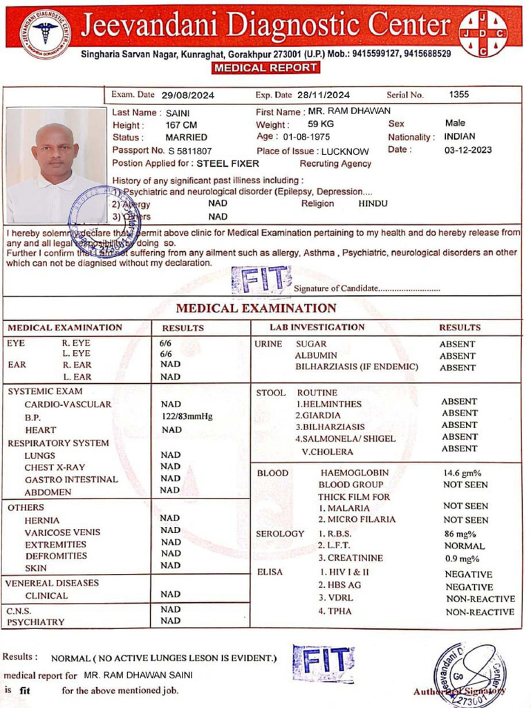 SAINI | PDF